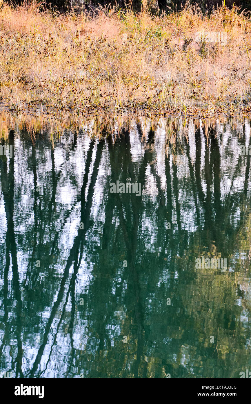 Wild Brenta River Stock Photo - Alamy
