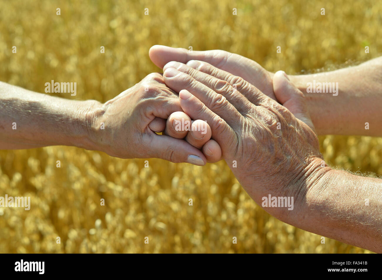 Elderly couple holding hands Stock Photo - Alamy