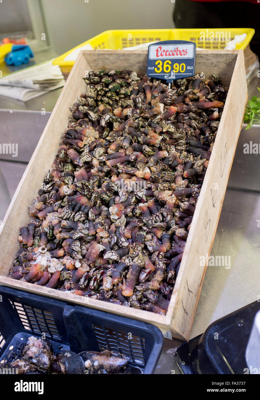 Percebes or Goose Barnacles on sale at Ribera market in Bilbao Stock ...
