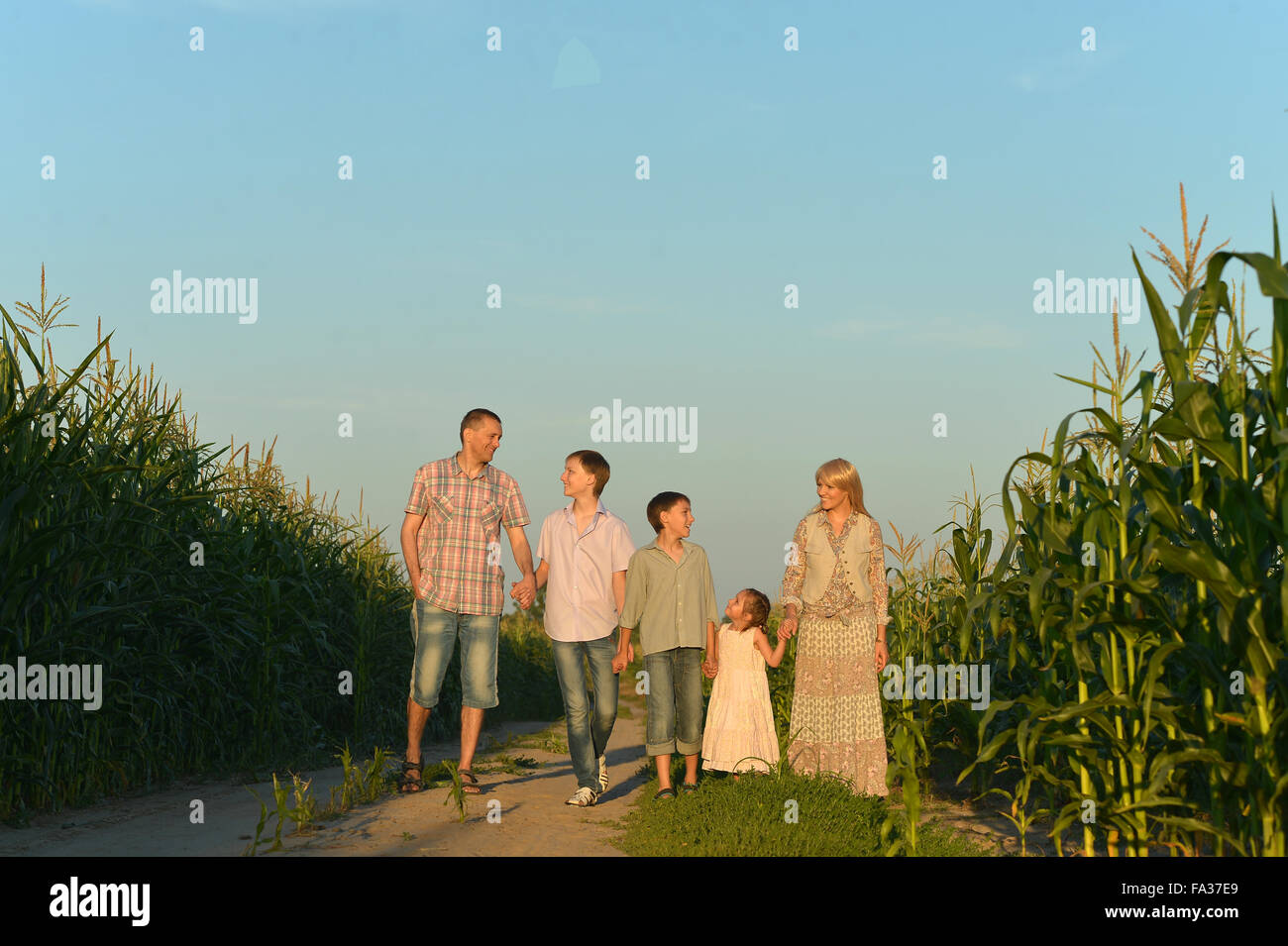 Family walking in field Stock Photo - Alamy