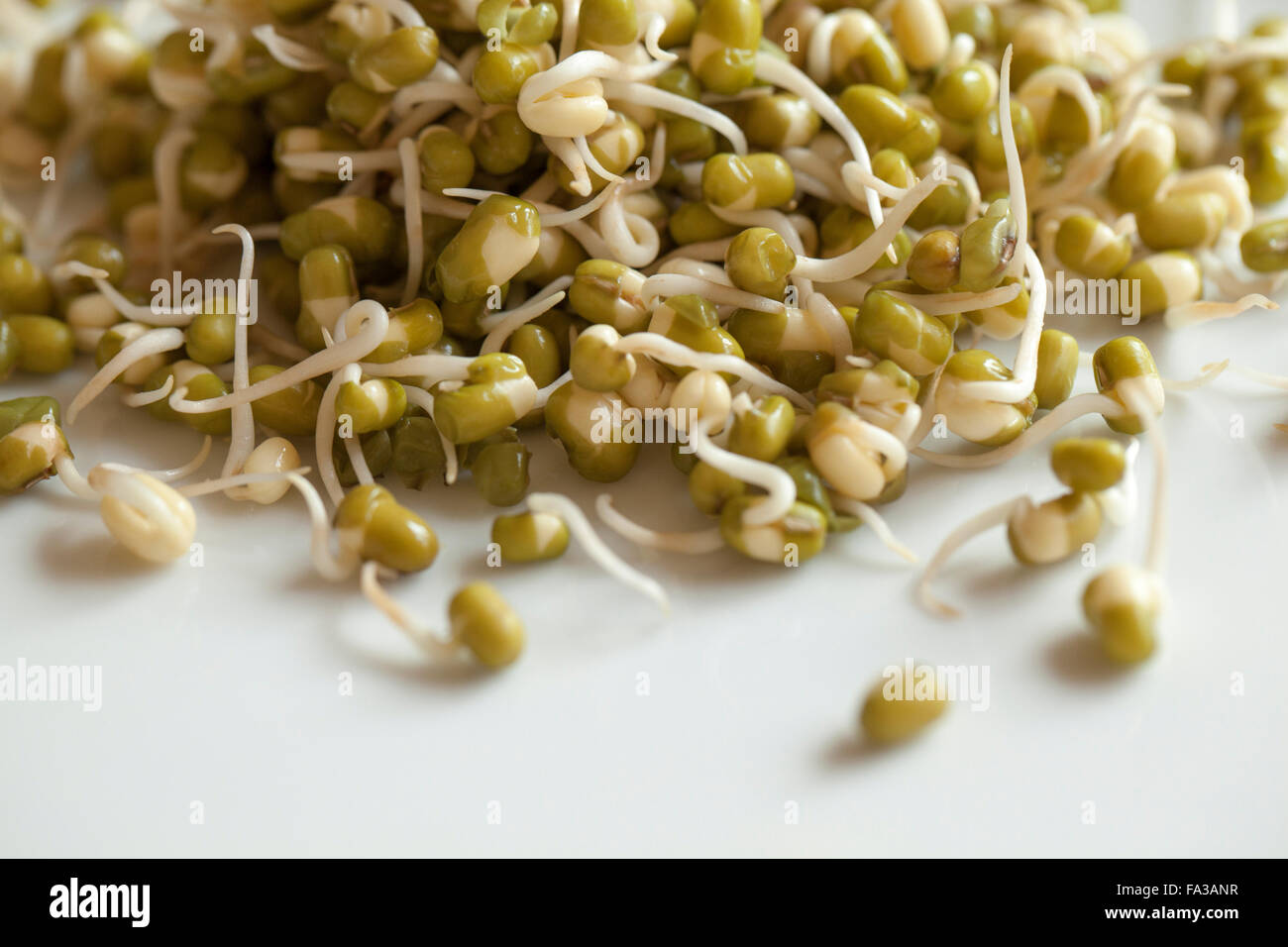 Seed Germination Food High Resolution Stock Photography and Images - Alamy