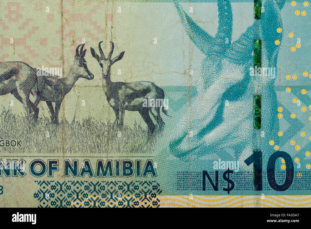 Detail of 10 Namibian dollars banknote. Namibian dollars is the ...