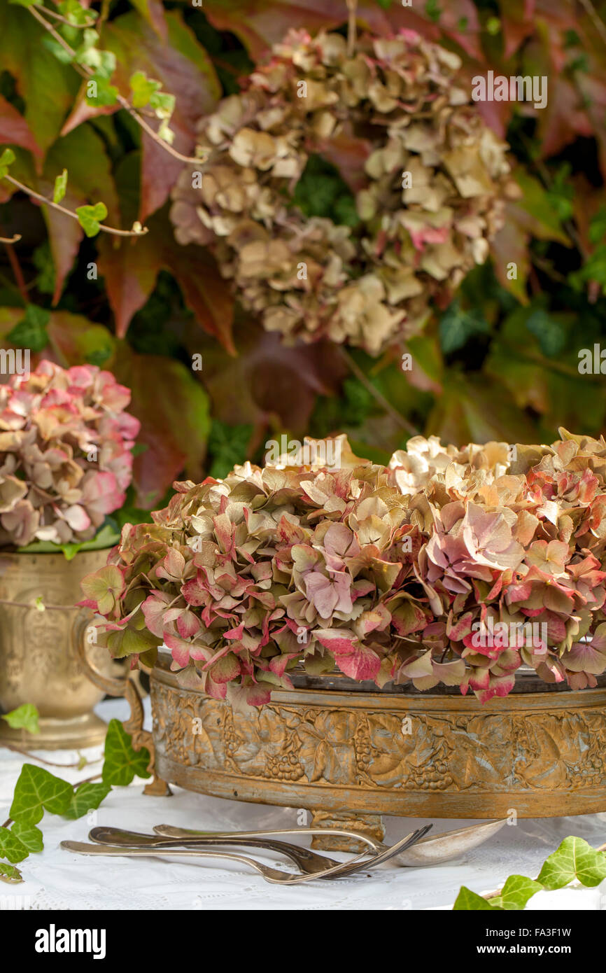 Garden tie wire hi-res stock photography and images - Alamy