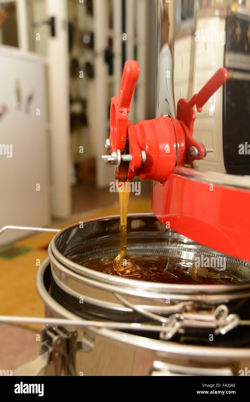 Extracting honey from the frames in a bee hive with the extractor tap ...