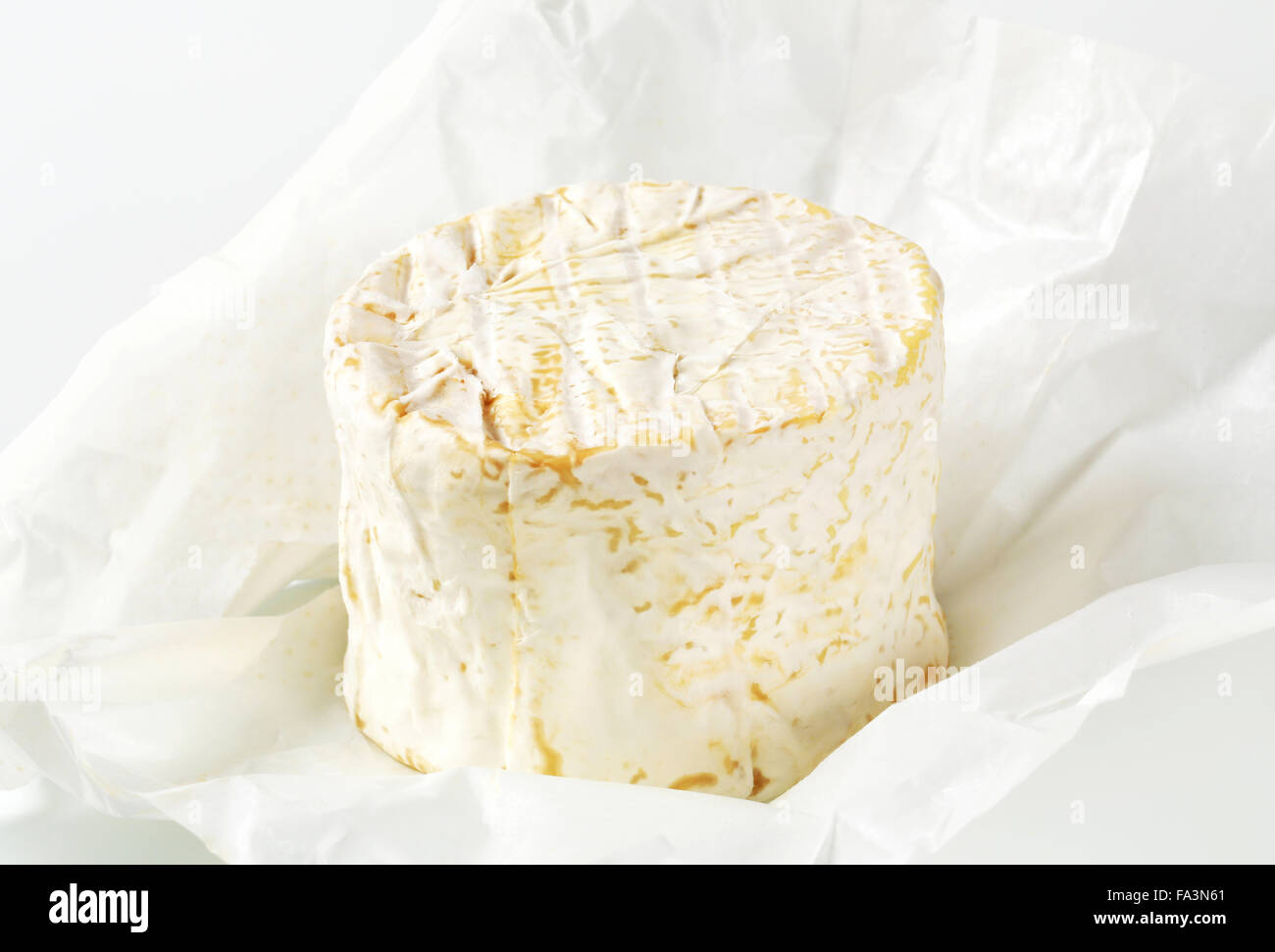 Penicillium candidum hi-res stock photography and images - Alamy