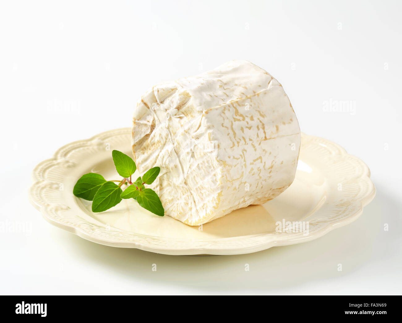Penicillium candidum hi-res stock photography and images - Alamy