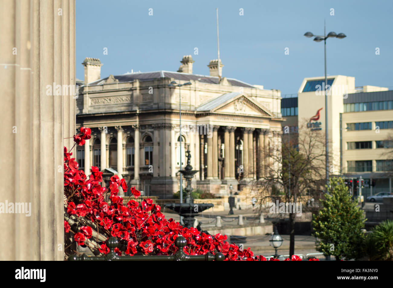 Poppy display hi-res stock photography and images - Alamy