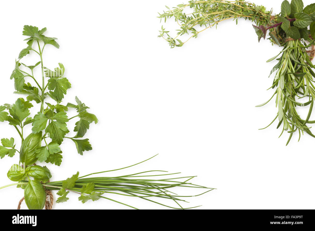 Culinary herbs background with copy space. Fresh basil, cilantro, chive ...