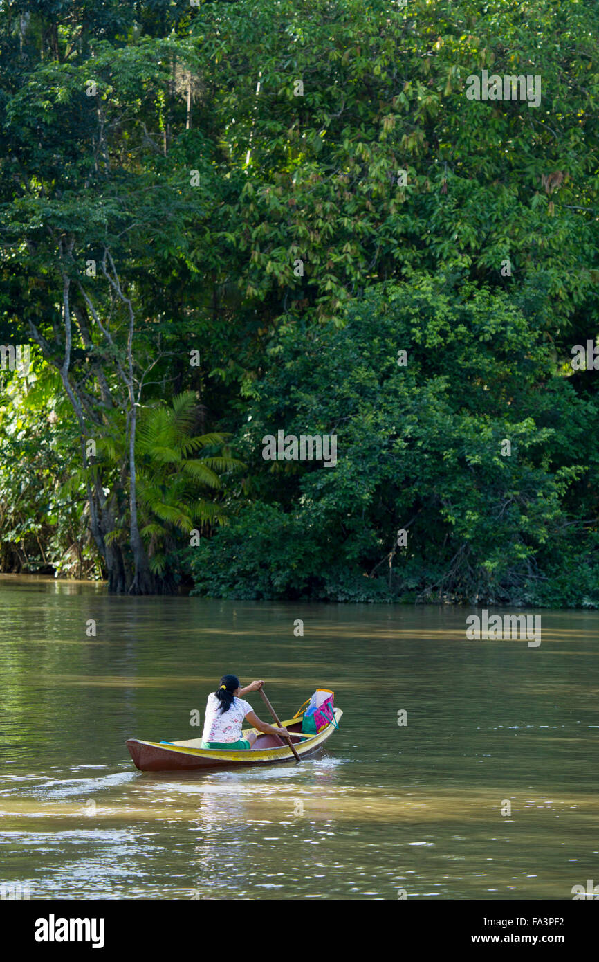 Amazon rainforest boat hi-res stock photography and images - Alamy