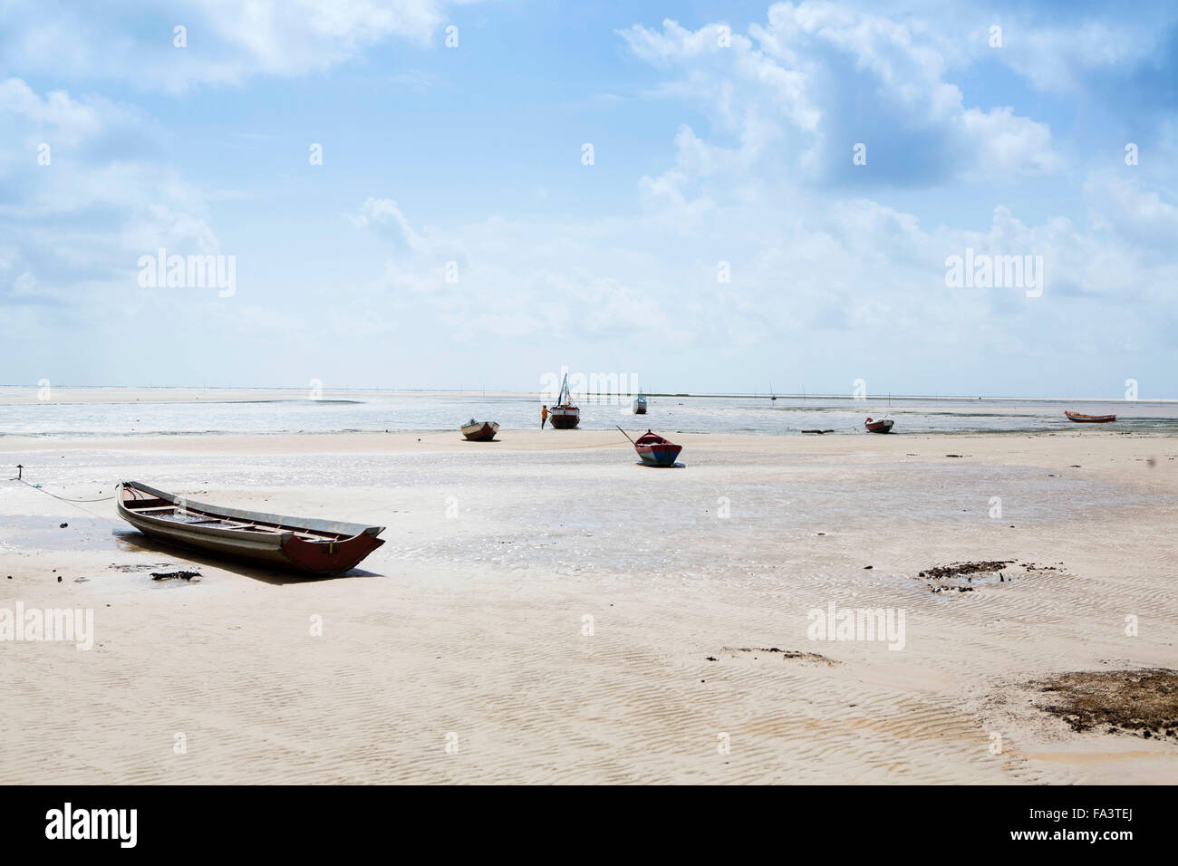 Marajo island hi-res stock photography and images - Alamy