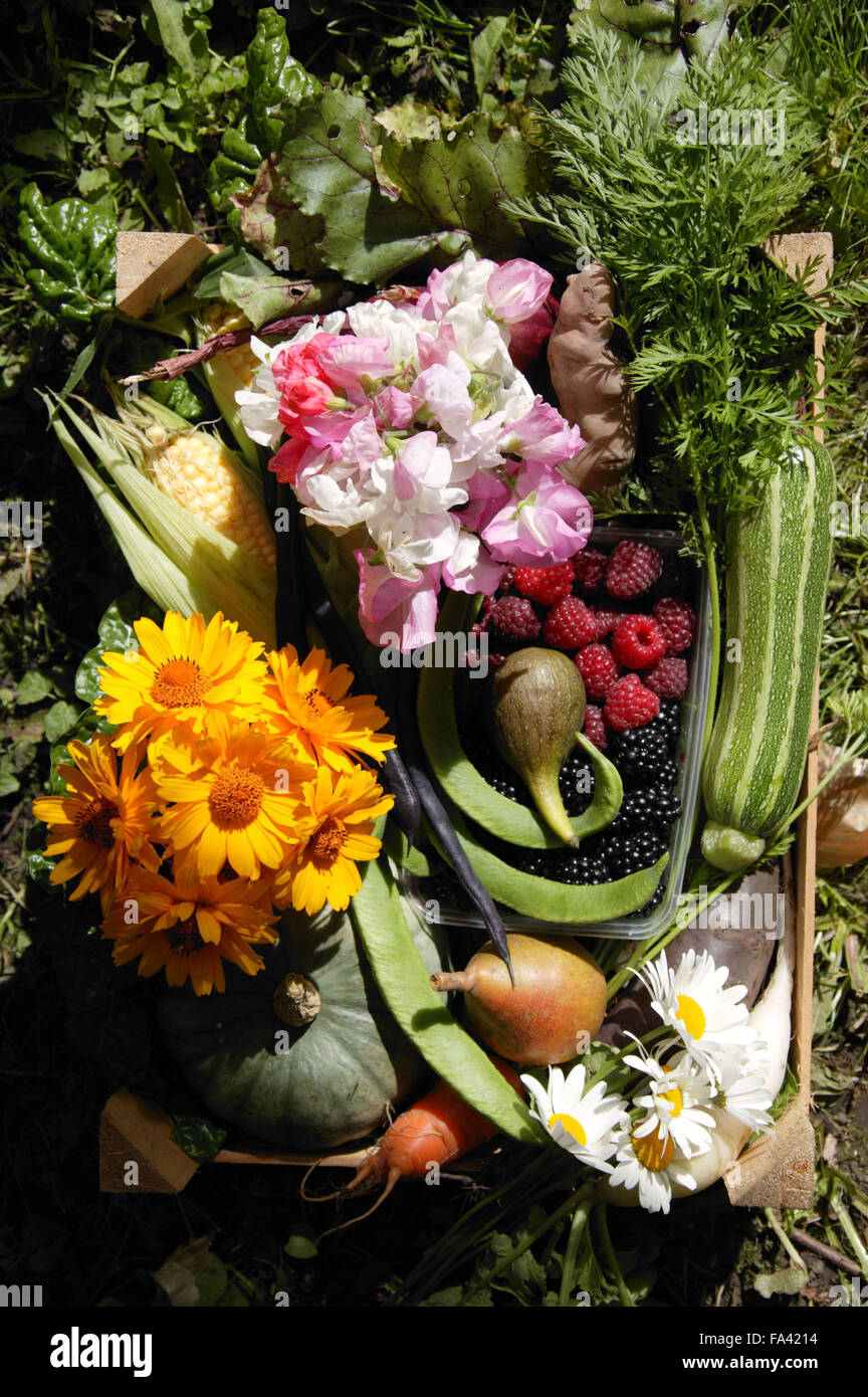 Allotment flowers and vegetables hi-res stock photography and images ...