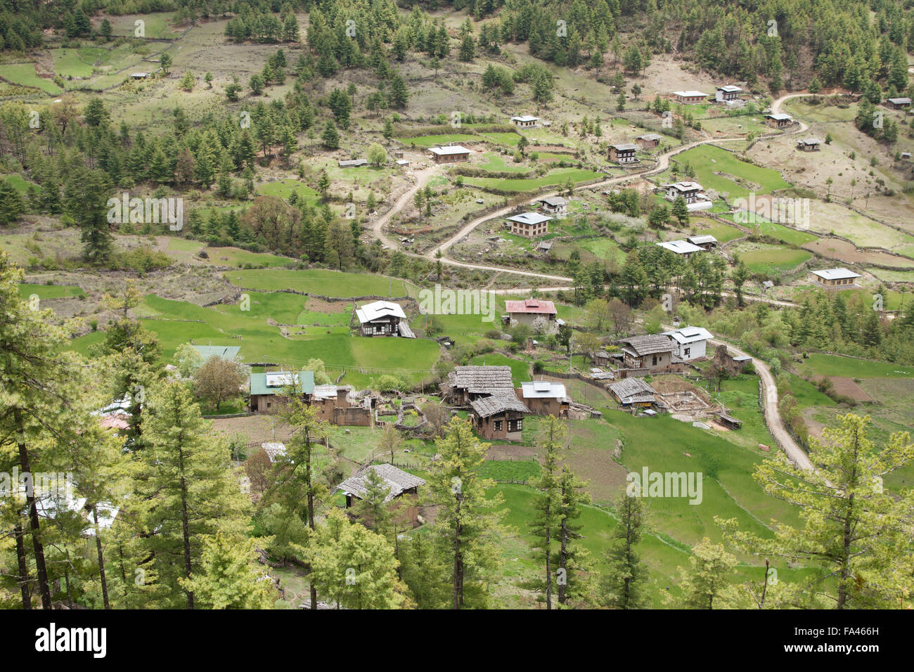 Haa valley in Bhutan Stock Photo - Alamy