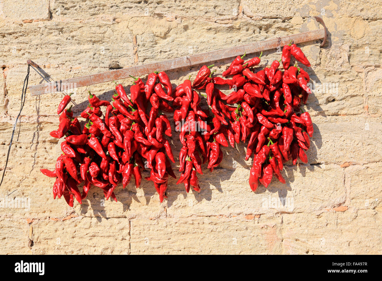 Red chilli peppers drying in the sun, Vejer de la Frontera, Cadiz ...