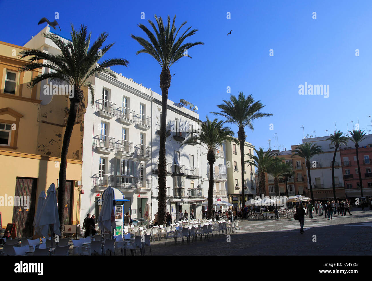 Cathedral square with restaurants and palm trees, Cadiz, Spain Stock ...