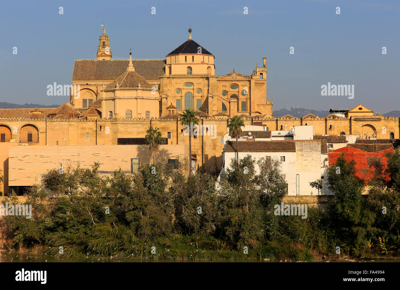 Great mosque cordoba hi-res stock photography and images - Alamy