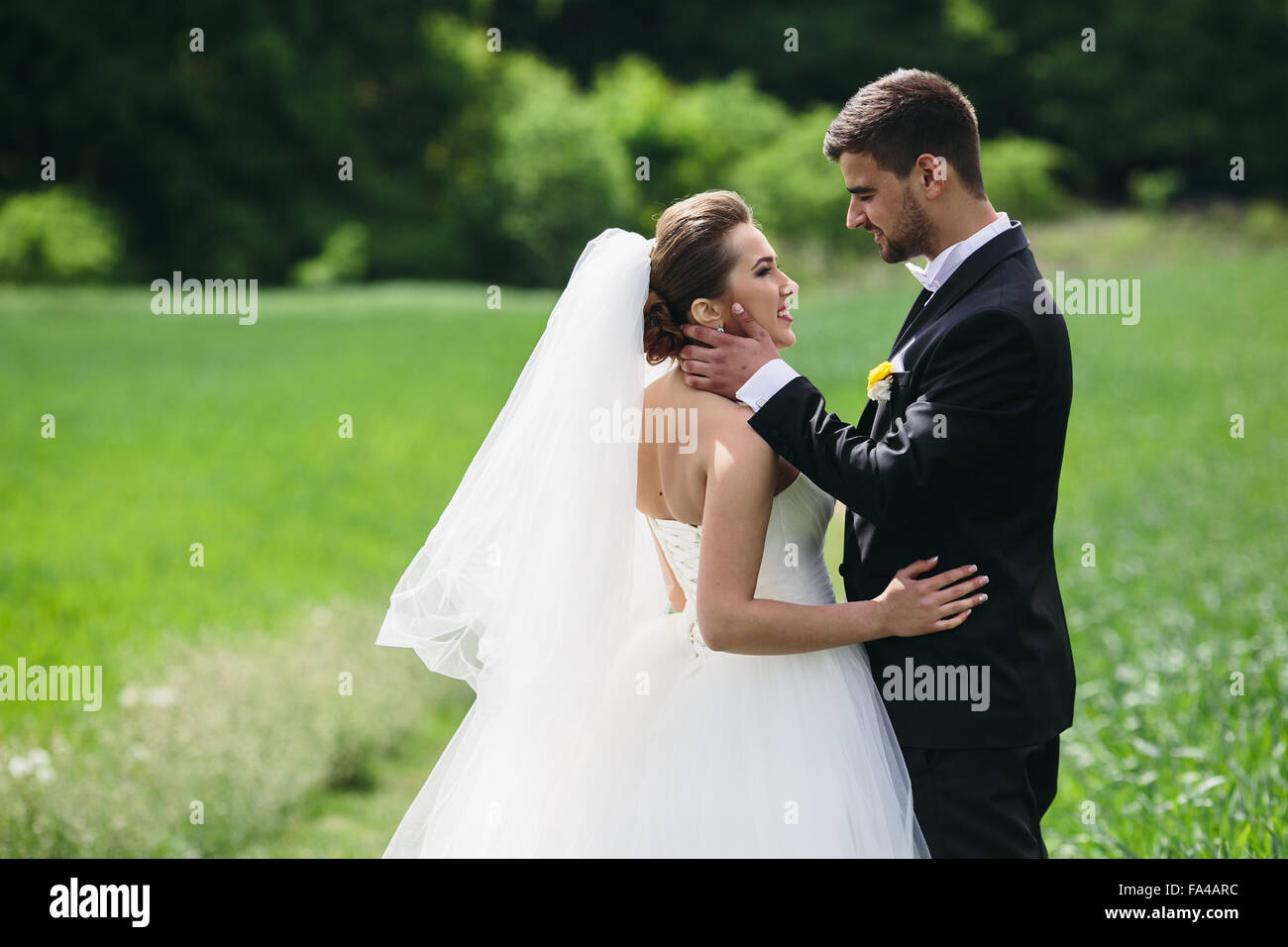 Beautiful wedding couple on nature Stock Photo - Alamy