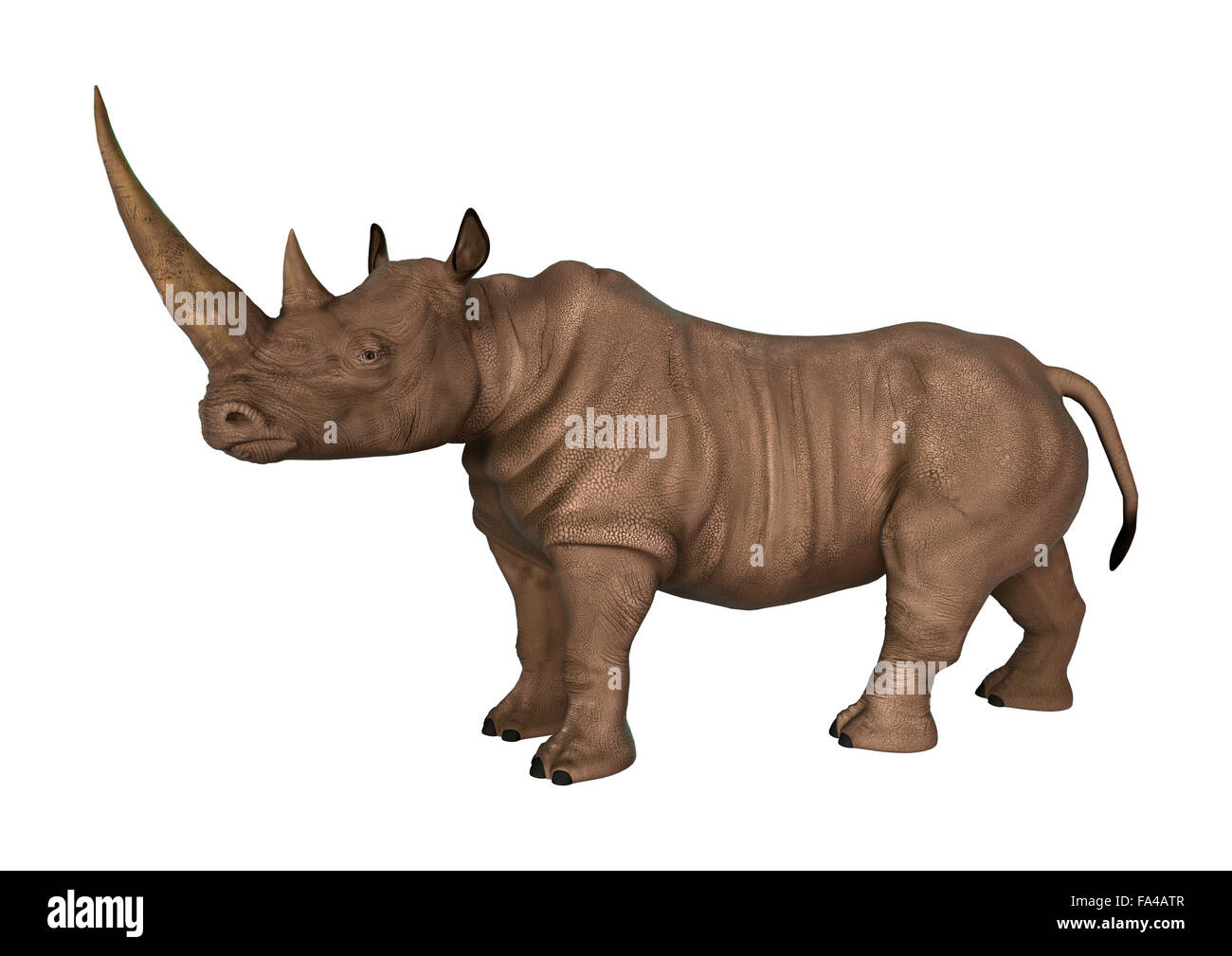 3D digital render of a wild rhinoceros isolated on white background ...