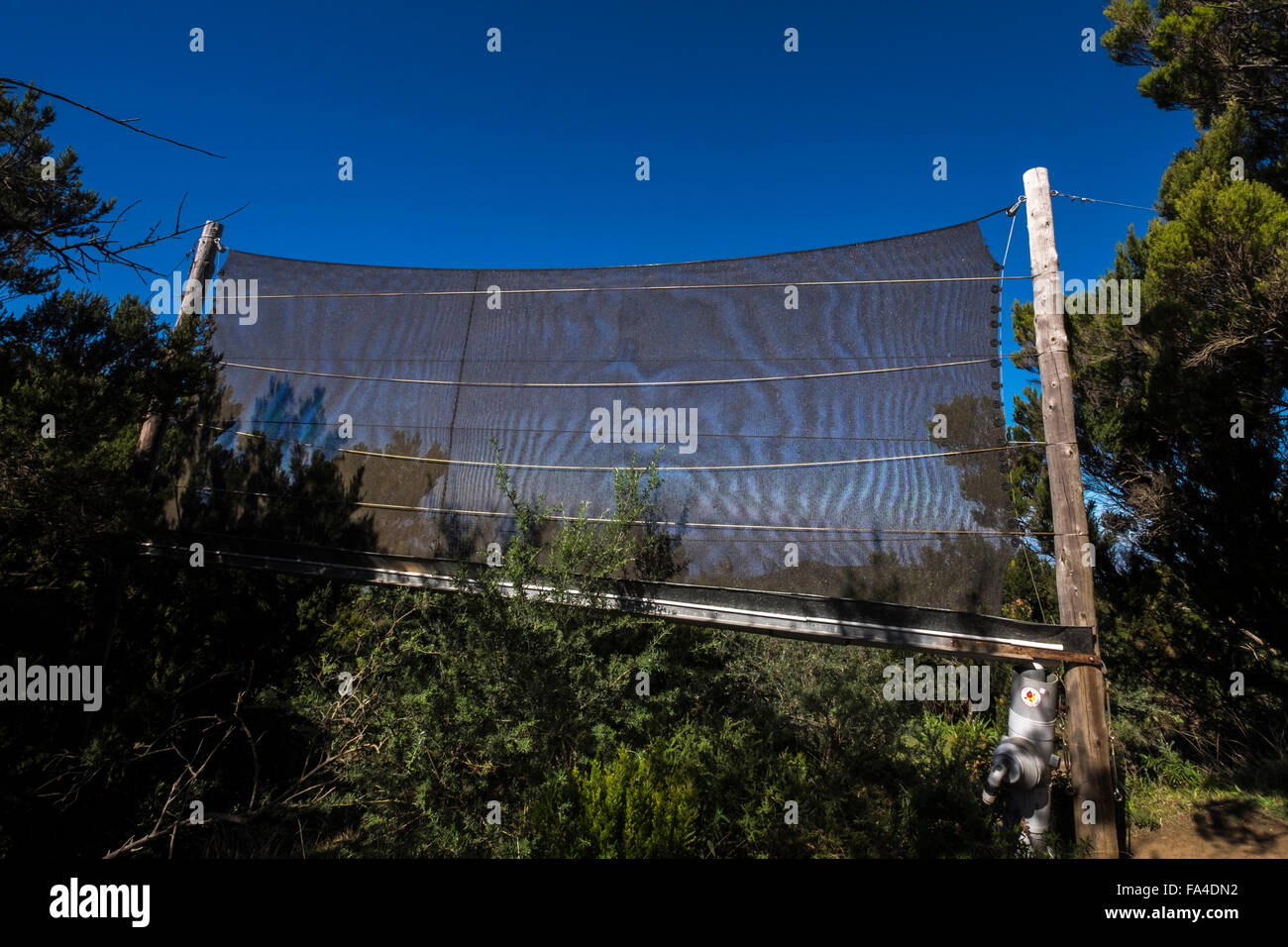 A netting device used to capture water from clouds on the hills near to ...