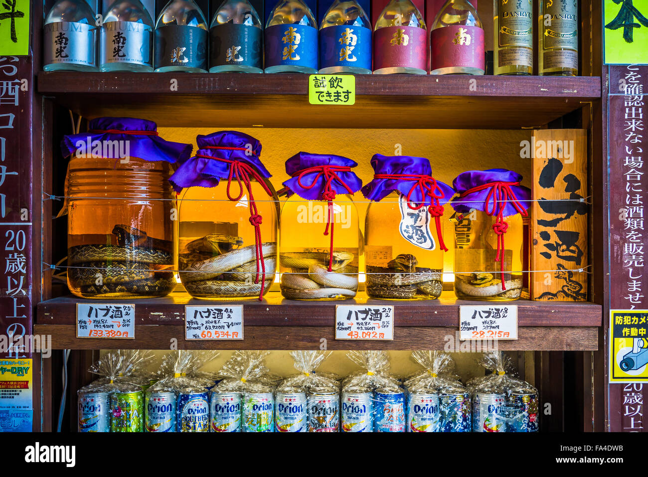 Okinawan snake hi-res stock photography and images - Alamy