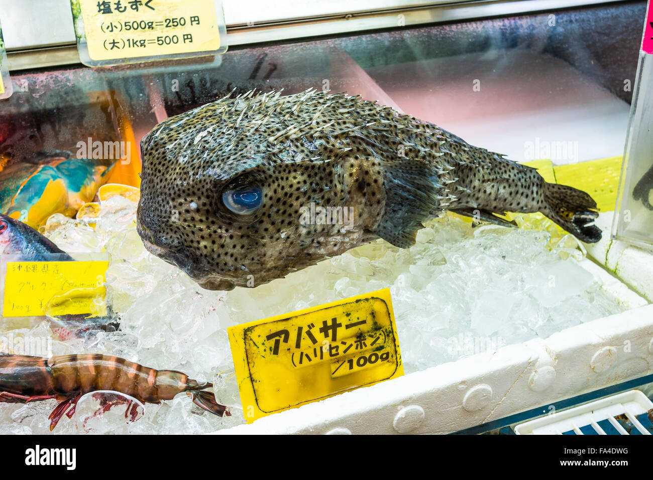 Naha Fish Market High Resolution Stock Photography and Images - Alamy
