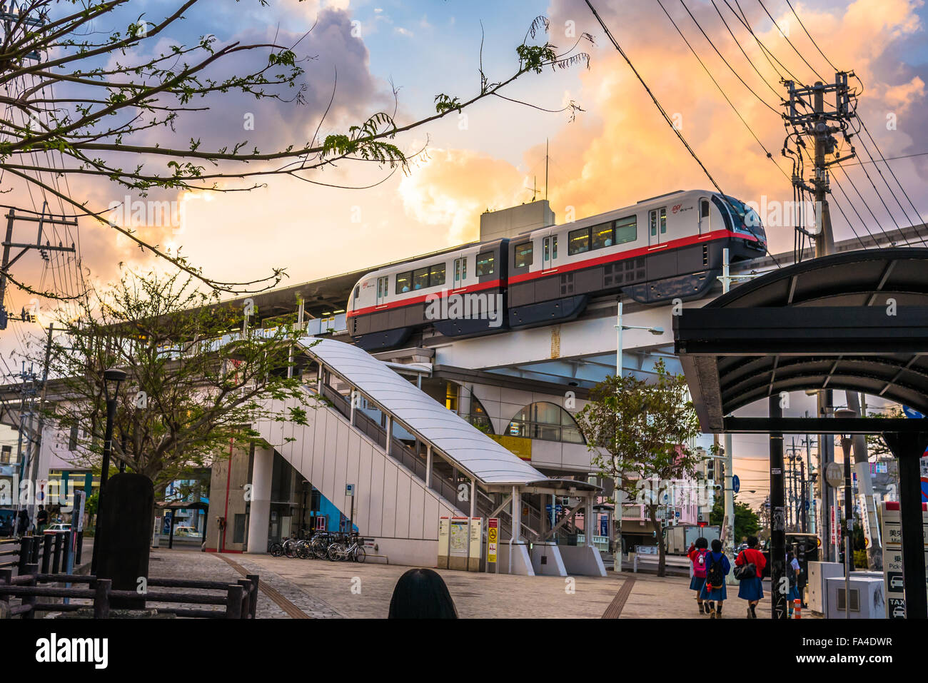 Okinawa rail hi-res stock photography and images - Alamy