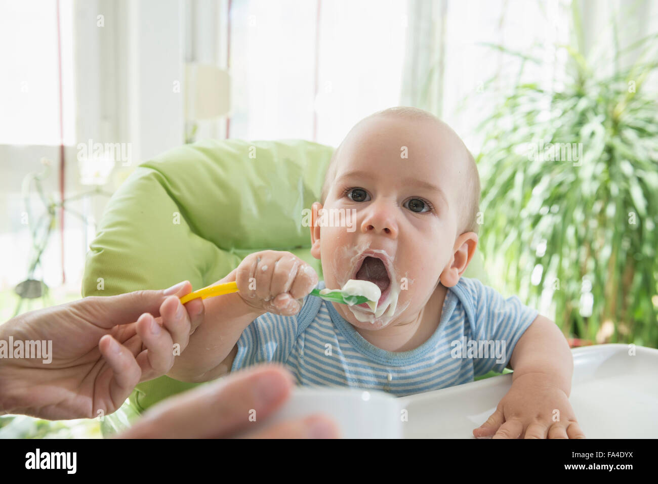 Mother feeding baby food to her baby boy with spoon, Munich, Bavaria ...