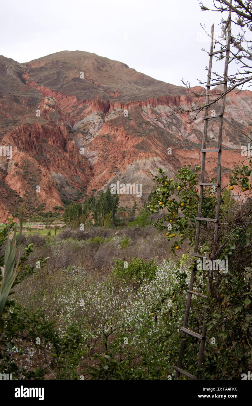 Extending ladder plain ladder hi-res stock photography and images - Alamy