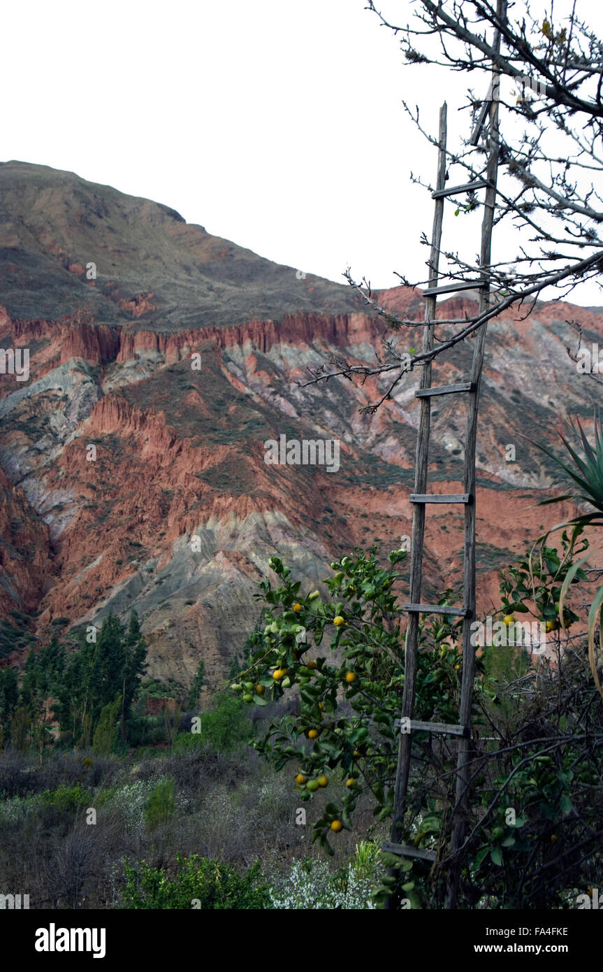Small steps in the mountains hi-res stock photography and images - Alamy