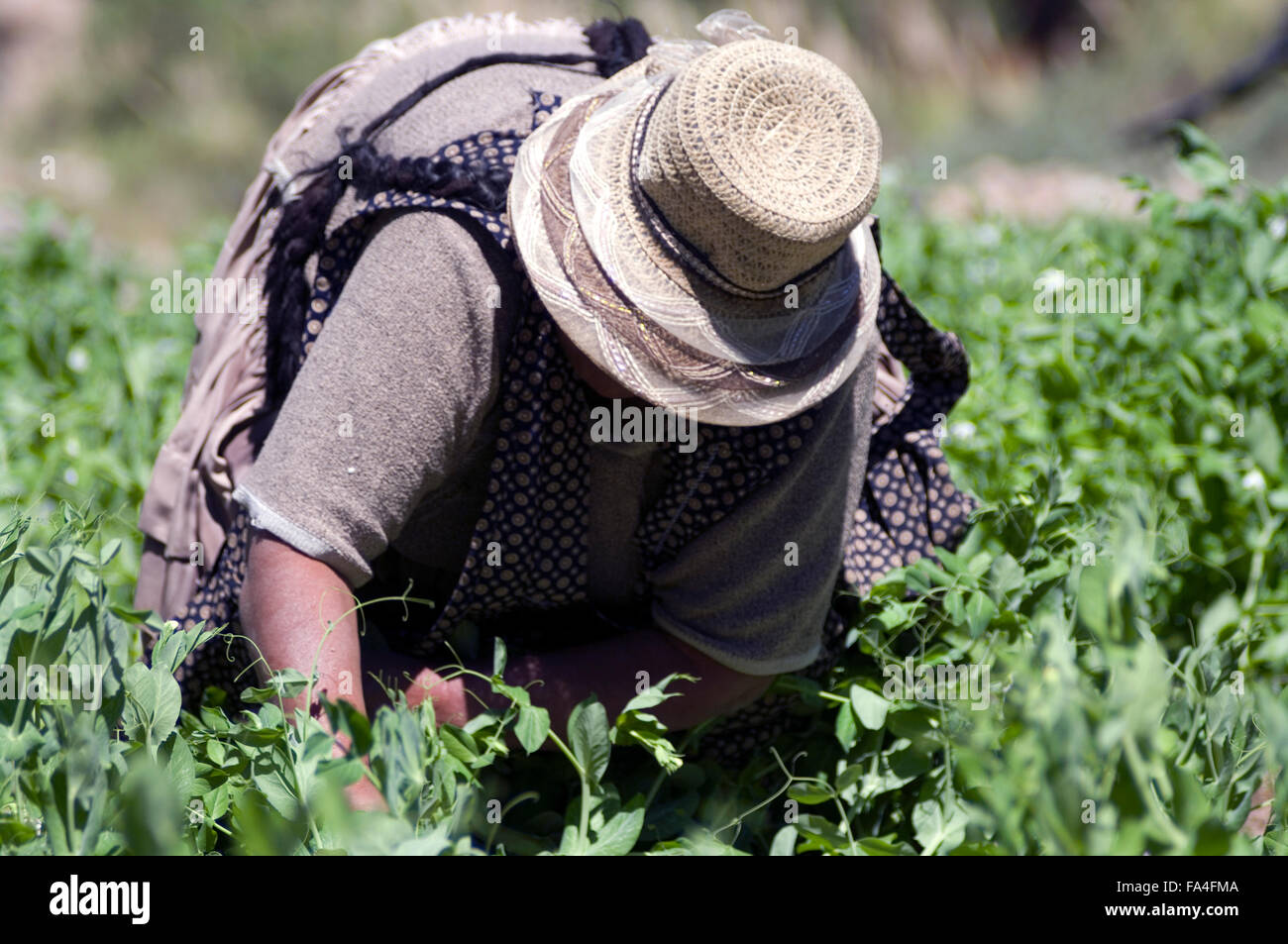 Hunched Over High Resolution Stock Photography and Images - Alamy