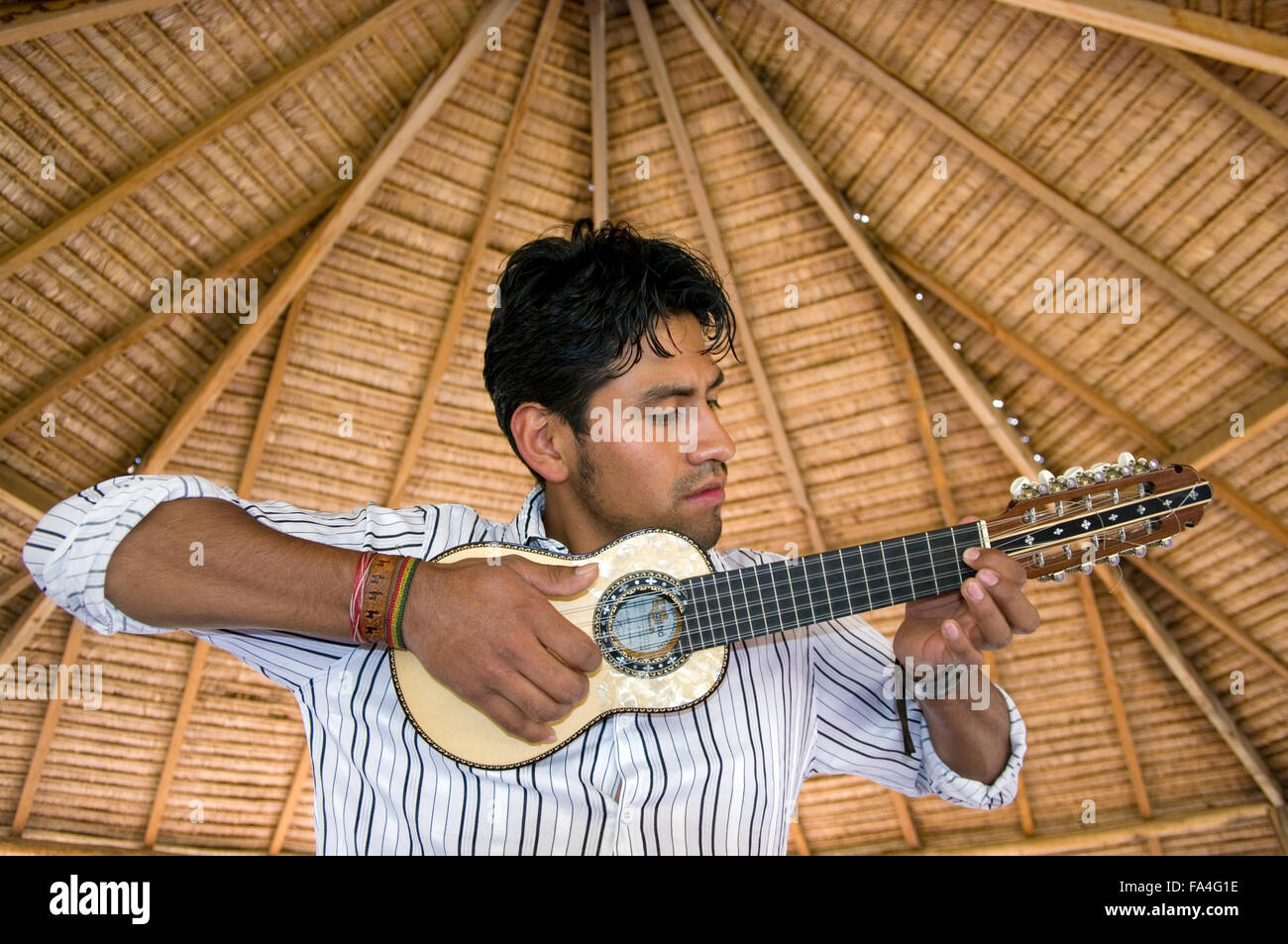 Young man in striped shirt playing the charango, a traditional Andean ...