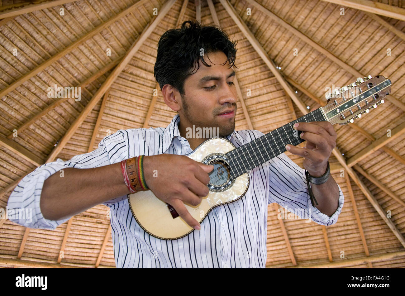 Play charango hi-res stock photography and images - Alamy