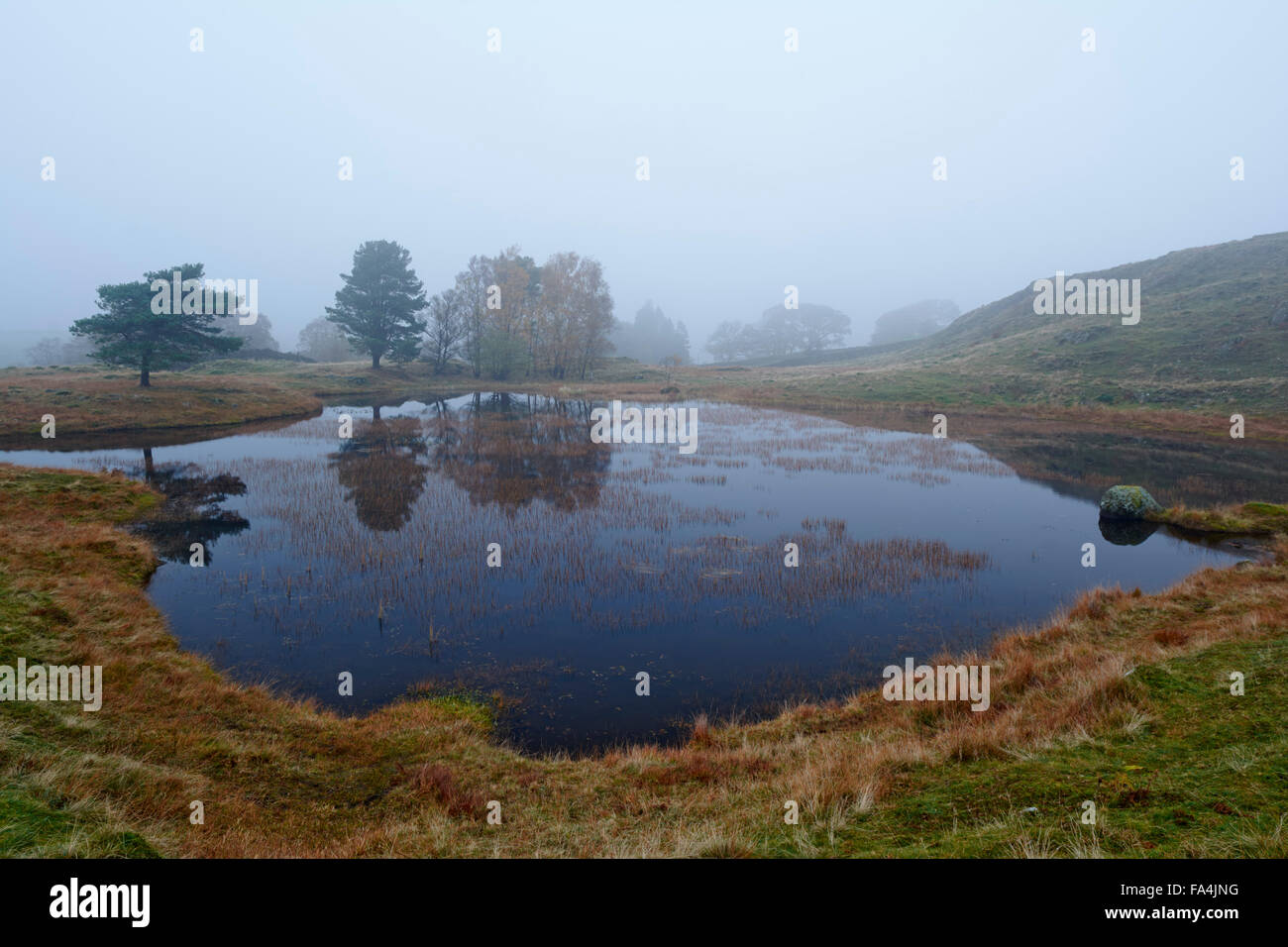 Kelly hall hi-res stock photography and images - Alamy