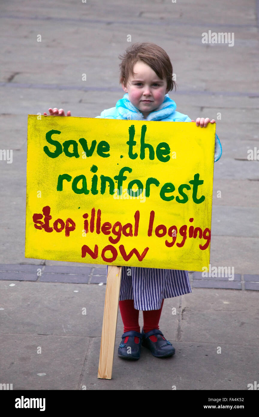 Rainforest deforestation protest hi-res stock photography and images ...