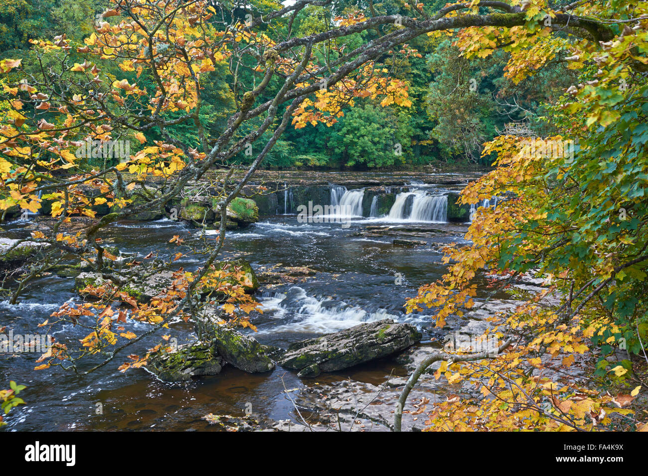 Upper Aysgarth Falls - Yorkshire Dales, England, UK Stock Photo - Alamy