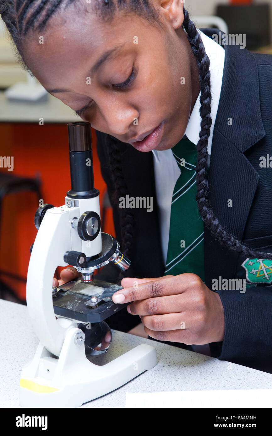 Gcse science lesson hi-res stock photography and images - Alamy