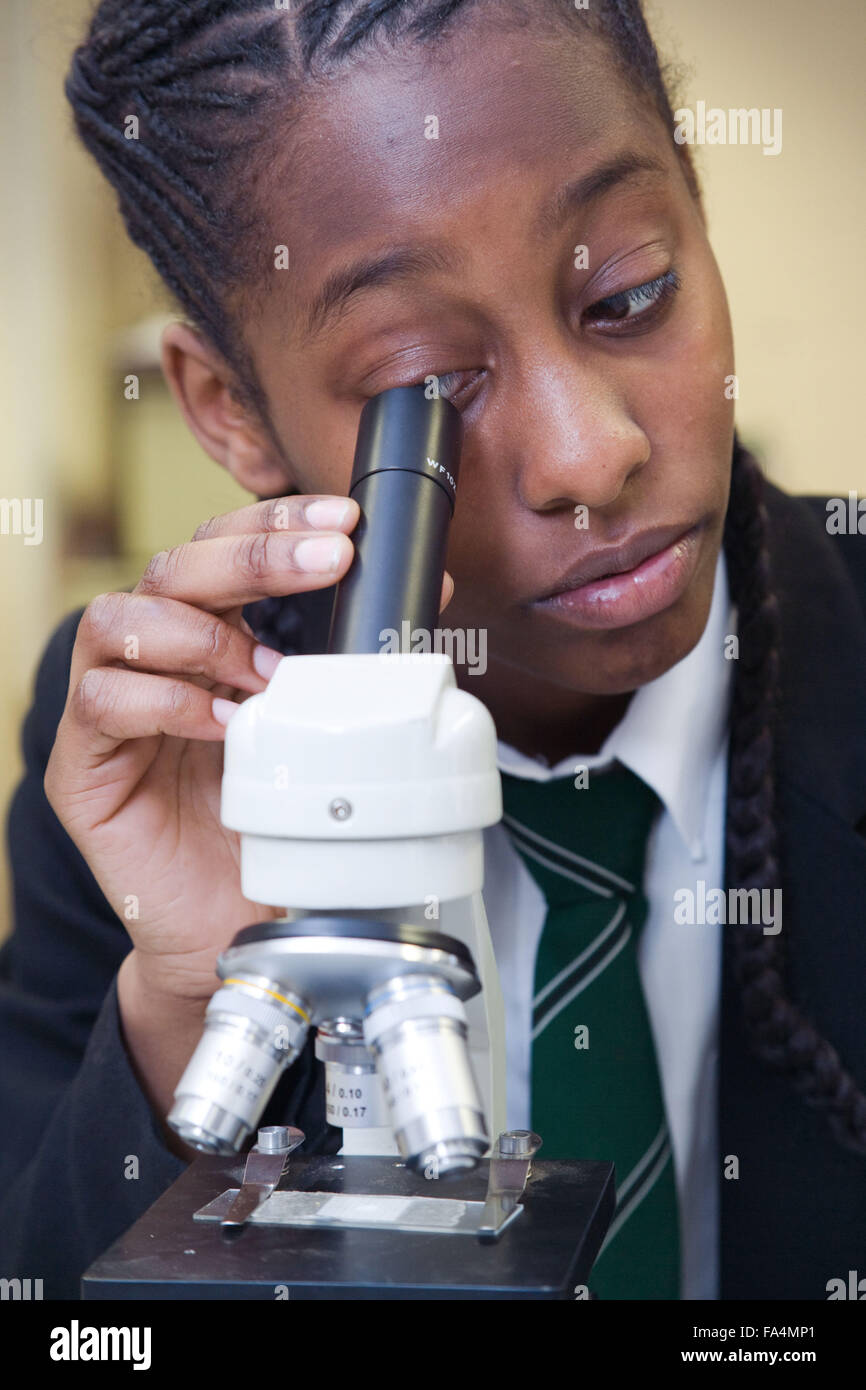 Gcse science lesson hi-res stock photography and images - Alamy