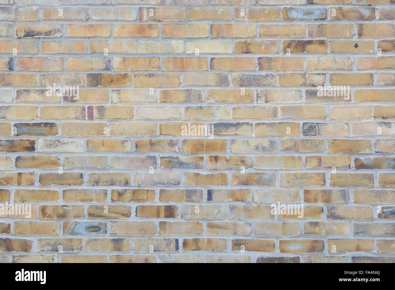 The wall is a structure that defines an area, carries a load, or ...