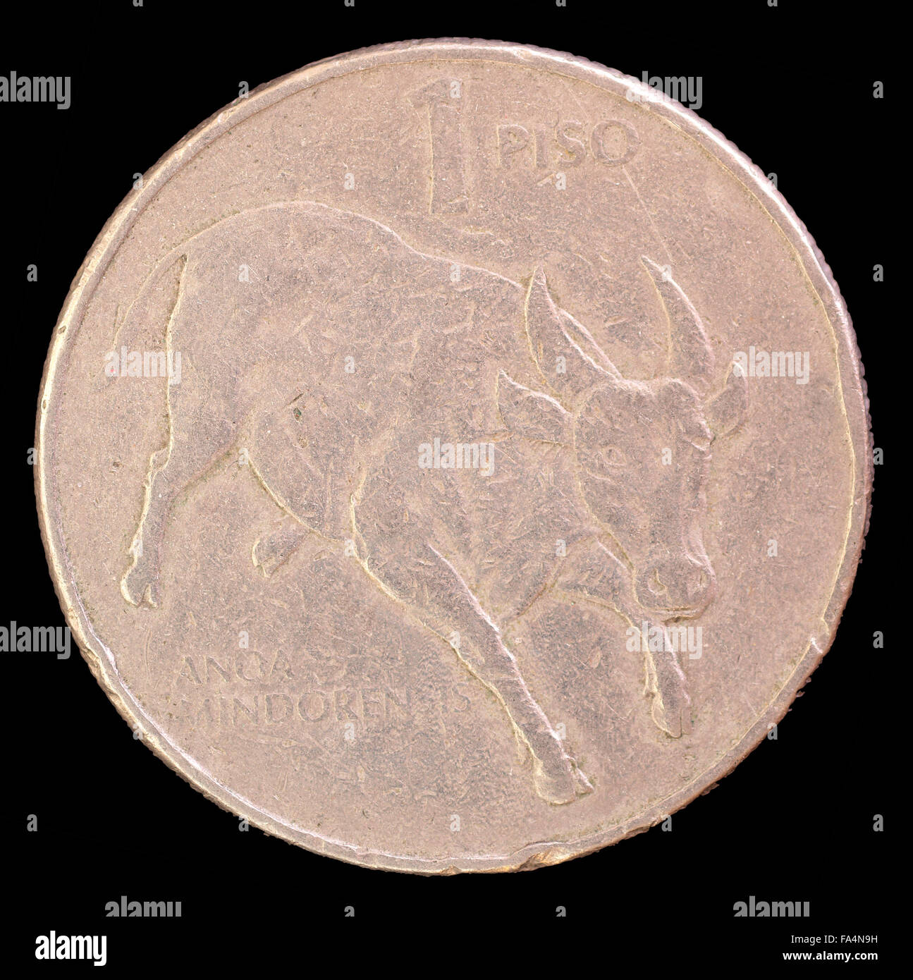 The tail face of a one piso coin, issued by the Republic of the ...