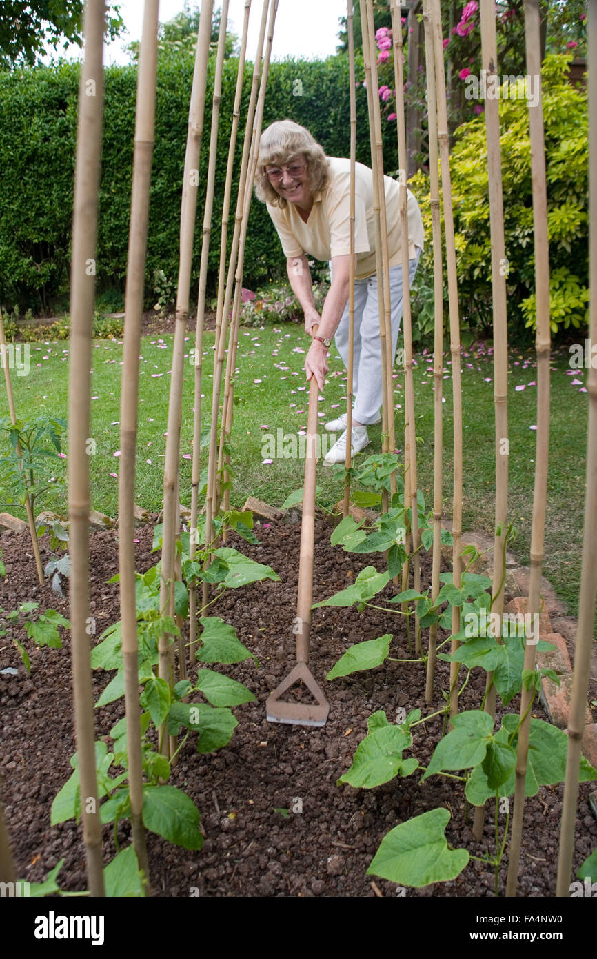 Woman hoeing garden hi-res stock photography and images - Alamy