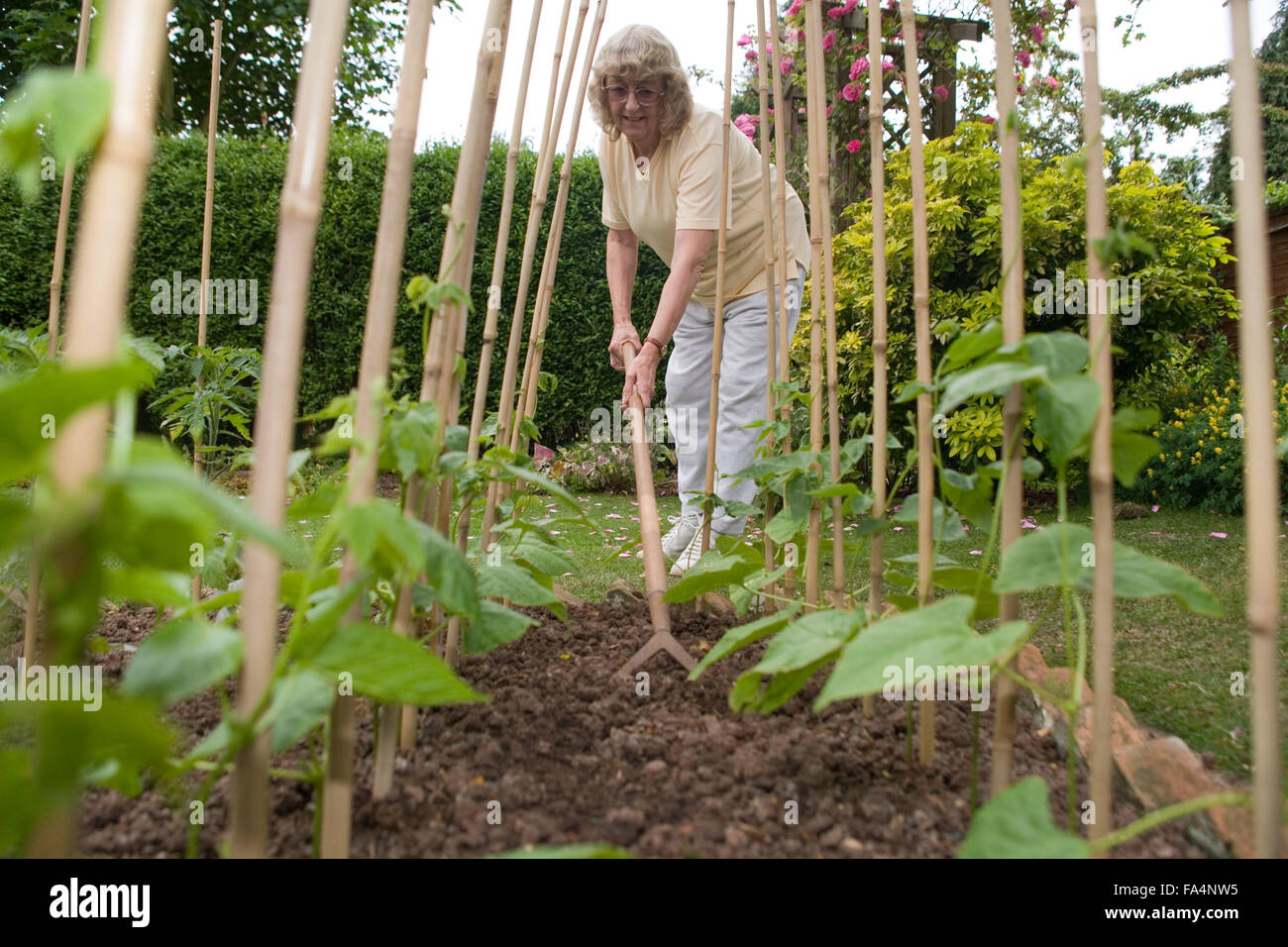 Woman hoeing garden hi-res stock photography and images - Alamy
