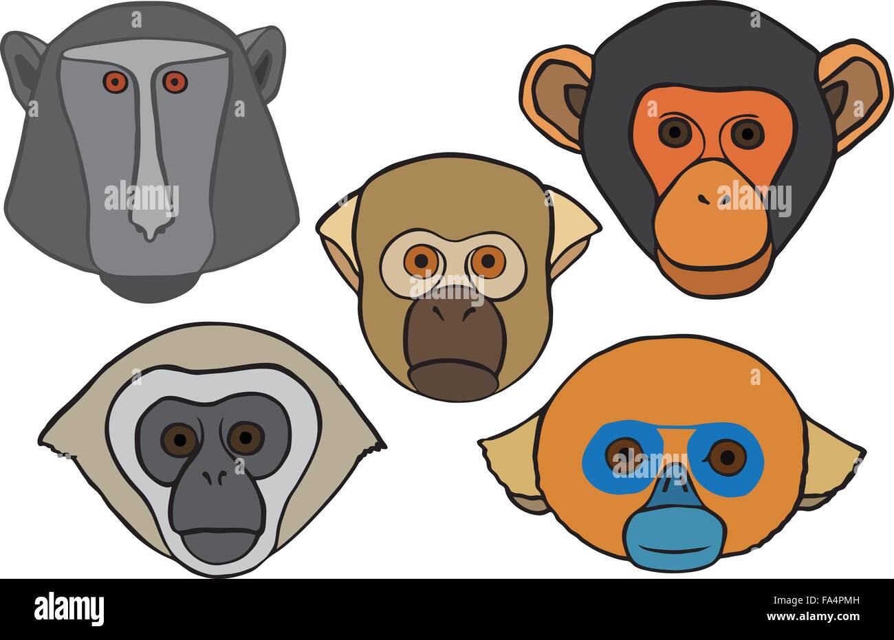 Vector Ornate Monkey Head Stock Vector Image & Art - Alamy