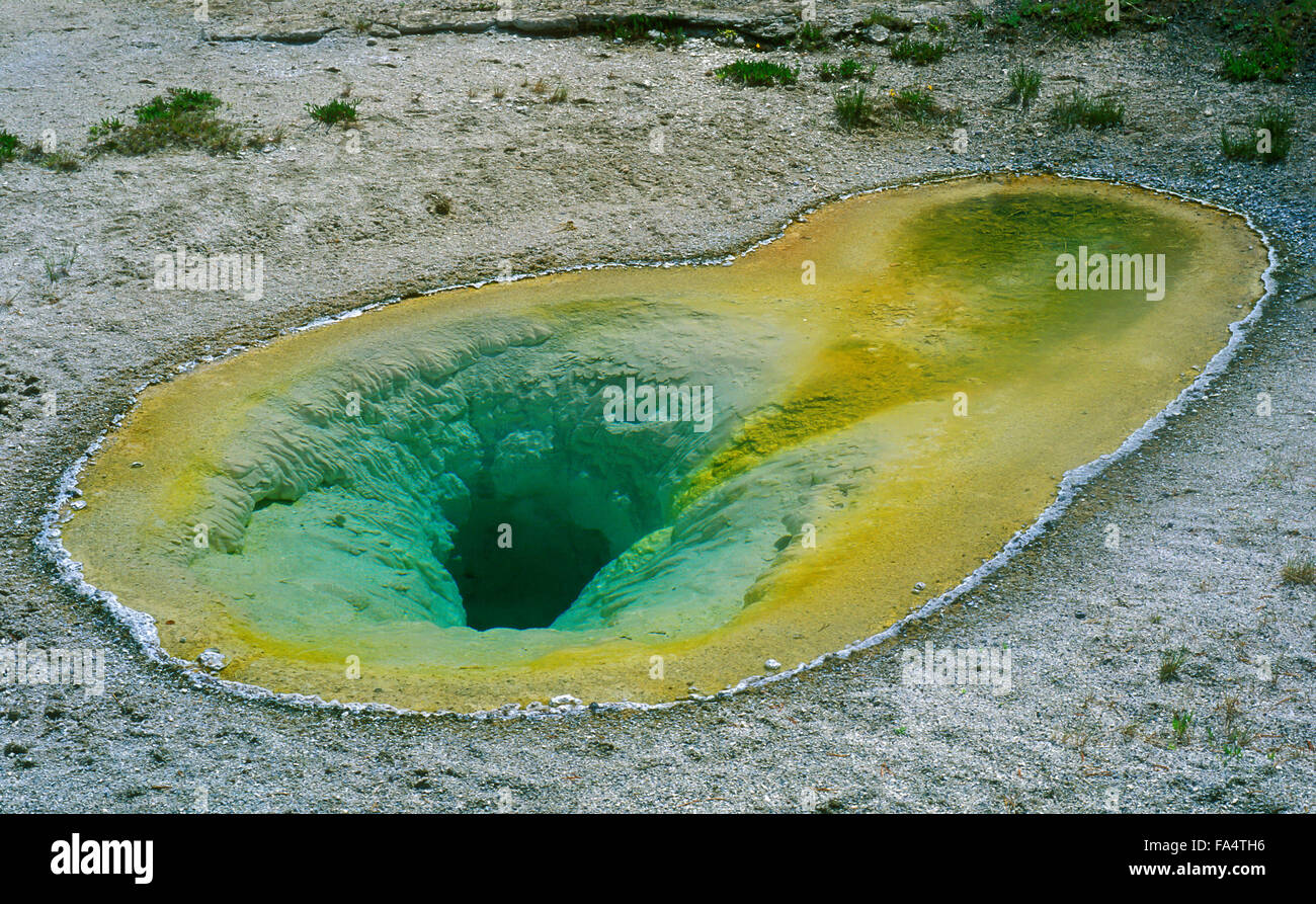 Belgian Geyser / Belgian Pool, hot spring in the Upper Geyser Basin of ...