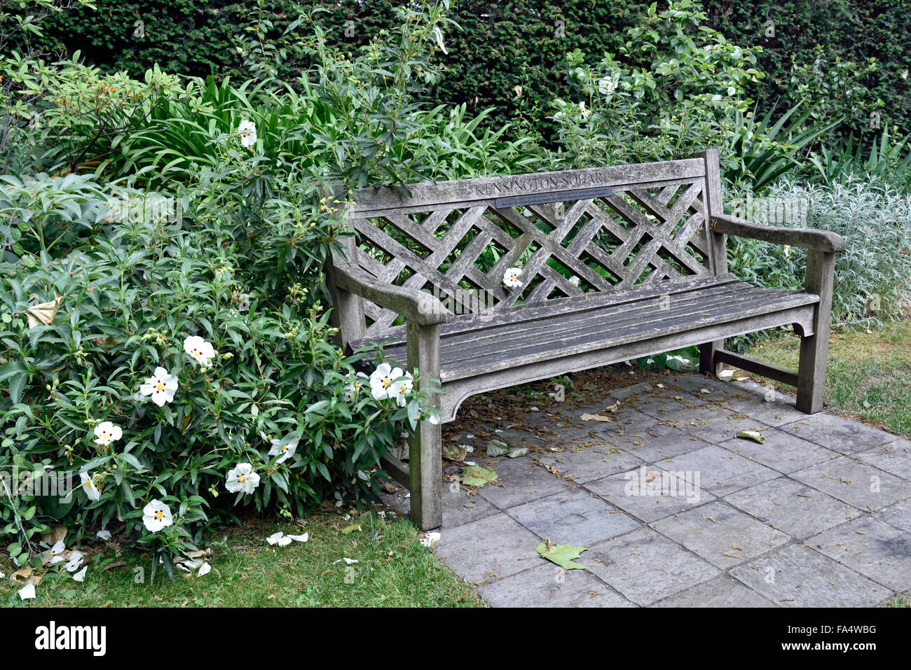 Kensington square london hi-res stock photography and images - Alamy