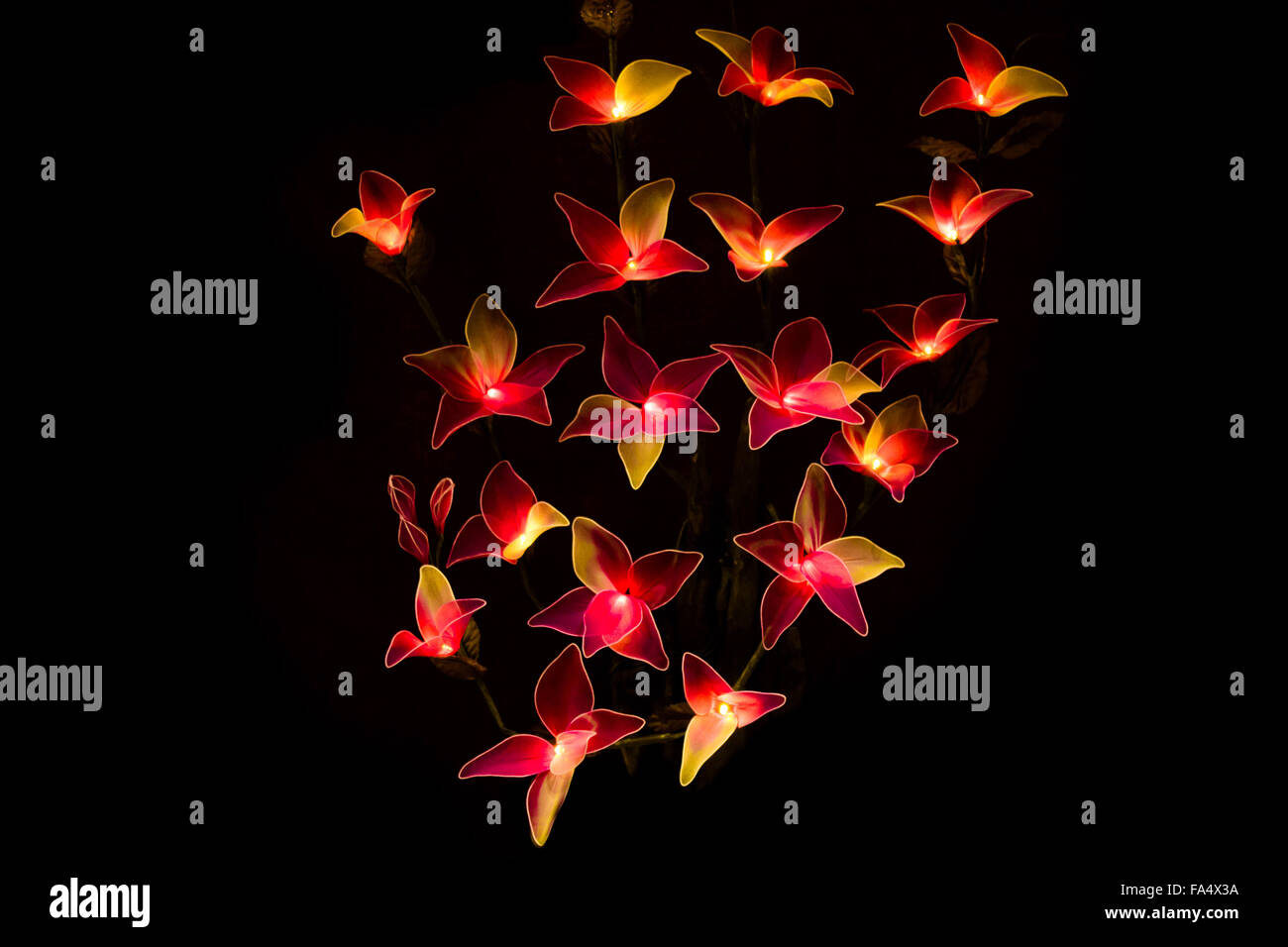 Shining flowers hi-res stock photography and images - Alamy