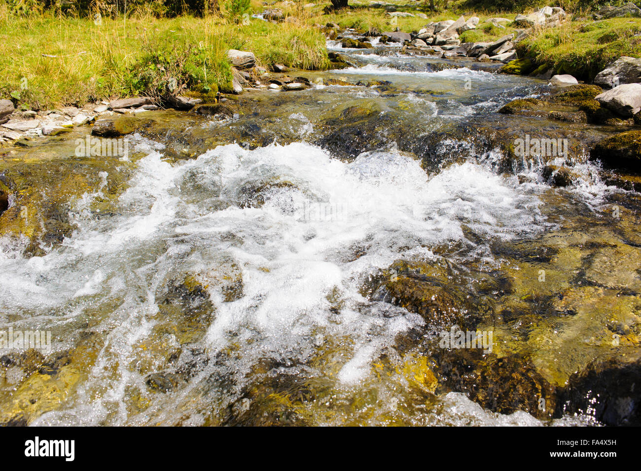 Small mountain stream in alps hi-res stock photography and images - Alamy