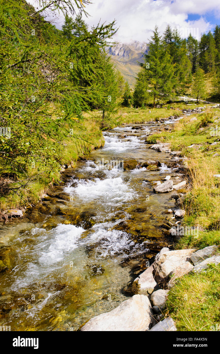 Stream in the mountains hi-res stock photography and images - Alamy