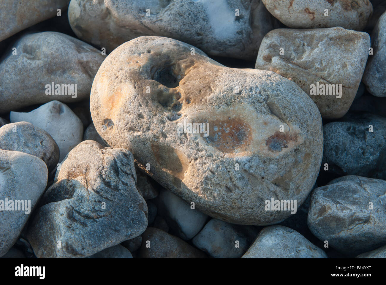 Pebbles on a beach Stock Photo - Alamy
