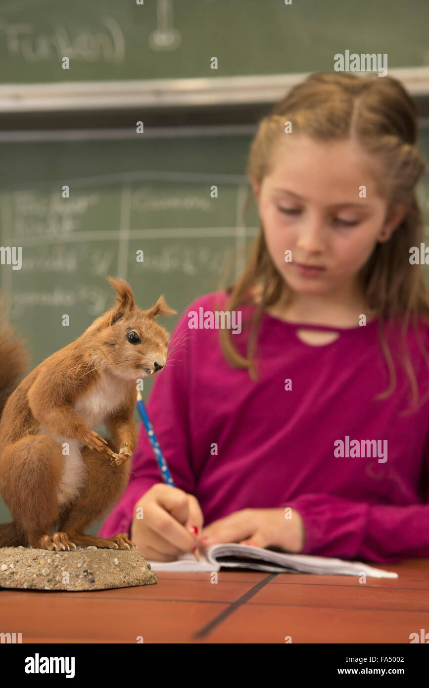 Elementary school biology class hi-res stock photography and images - Alamy