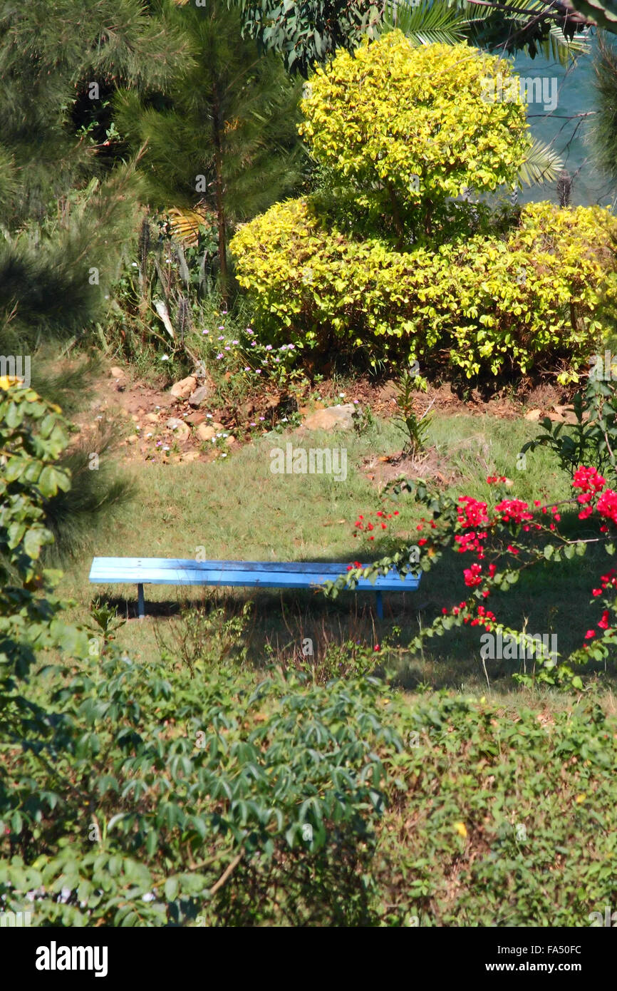 A small and simple blue bench sitting in a garden surrounded by plants ...