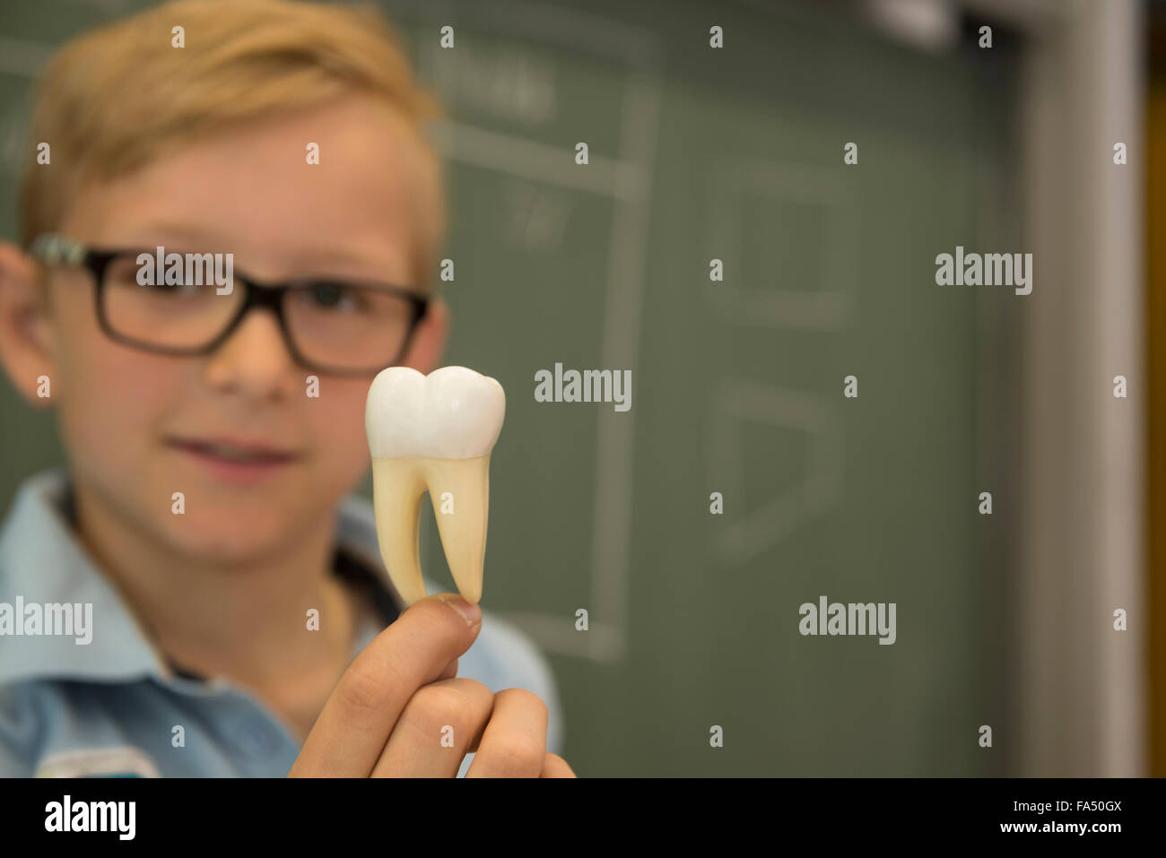 Child tooth anatomy hi-res stock photography and images - Alamy